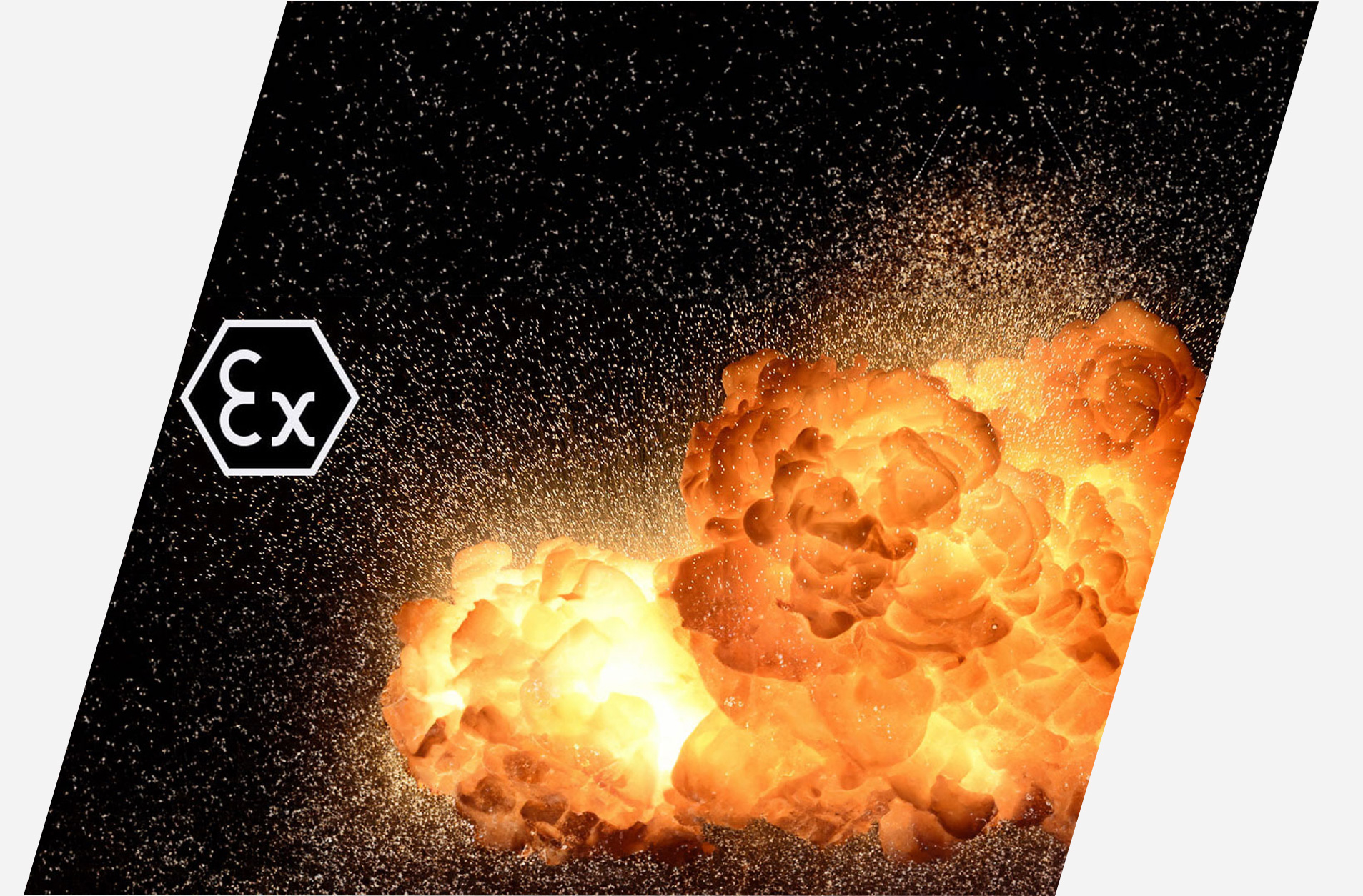 Explosionsschutz - ESE GmbH - Technology To Trust!
